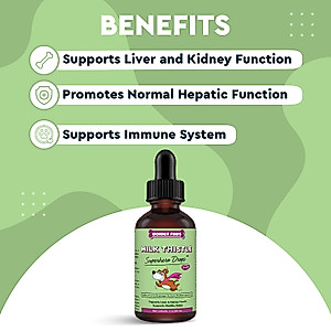 WONDER PAWS Milk Thistle Drops Plus Skin + Coat Soft Chews - for Dogs Liver and Kidney Support, Detox & Skin and Coat Health - Milk Thistle 2 Ounces - Skin + Coat 70 Chews
