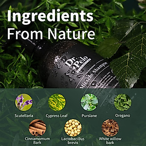 Dr.Pelo Miracle Shampoo, Shampoo for Oily Hair Types – Cool Down Your Scalp and Style Your Hair Easier