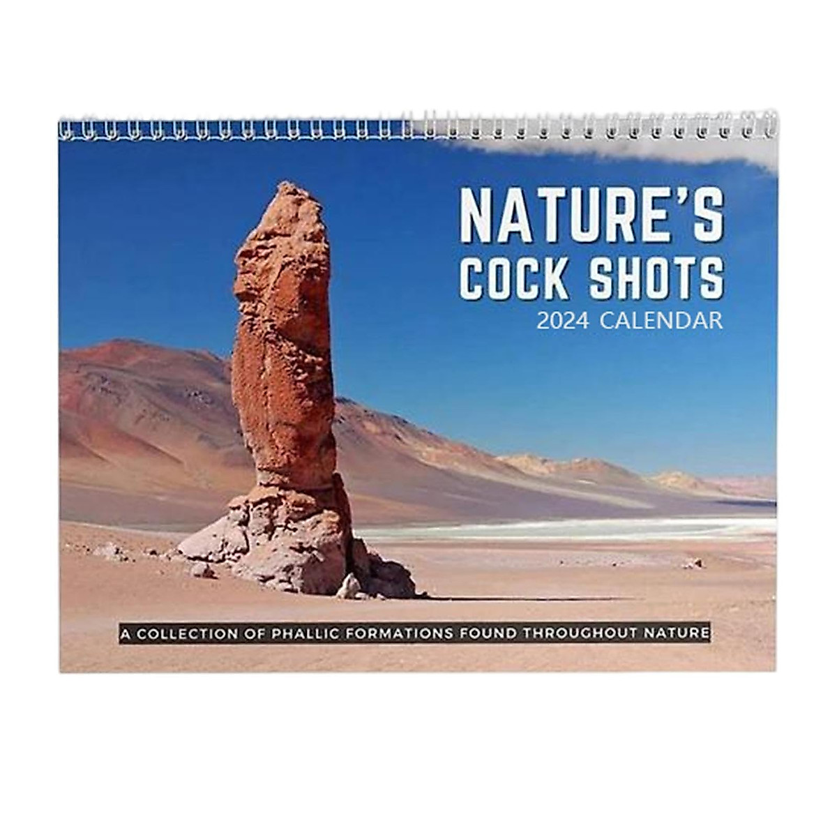 Nature's Dicks Calendar 2024, Nature's Cock Shots 2024 Calendar, Funny Calendar, Joke Present, Dicks Of Nature Wall Calendar, Hangable Wall Calendar Prank Gift
