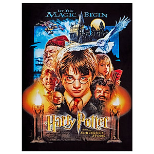 Harry Potter Minky Summer 2022 Group Shot 44in Panel Multi