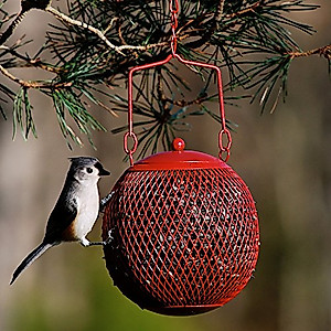 Perky-Pet RSB00343 Red Seed Ball Wild Bird Feeder
