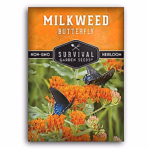Butterfly Milkweed Seeds for Planting - Pack with Instructions to Grow Asclepias Tuberosa - Attract Butterflies & Help Conservation - Non-GMO Heirloom Open-Pollinated - Survival Garden Seeds