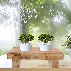 DOITOOL Table Stool Wood Stool for Bathroom Kitchen Step Stool High Bed Stool Small Stool Wood Risers Kids Step Stool Desk Stool Wood Riser for Kitchen Wooden Household The Bench