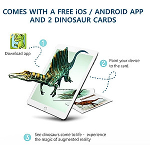 LIFELIKO Personalised Growth Chart for Dinosaur Lovers, Removable Wall Ruler for Boys and Girls, Kid’s Room Decoration (White)