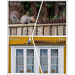 Bird Spikes, 20 Pack Pigeon Spikes, High Thorn Bird Spikes for Outside, Bird Deterrent for Small Bird Cat Squirrel, Easy Installation Bird Deterrent Spikes use for Balcony Courtyard Outdoor Roof