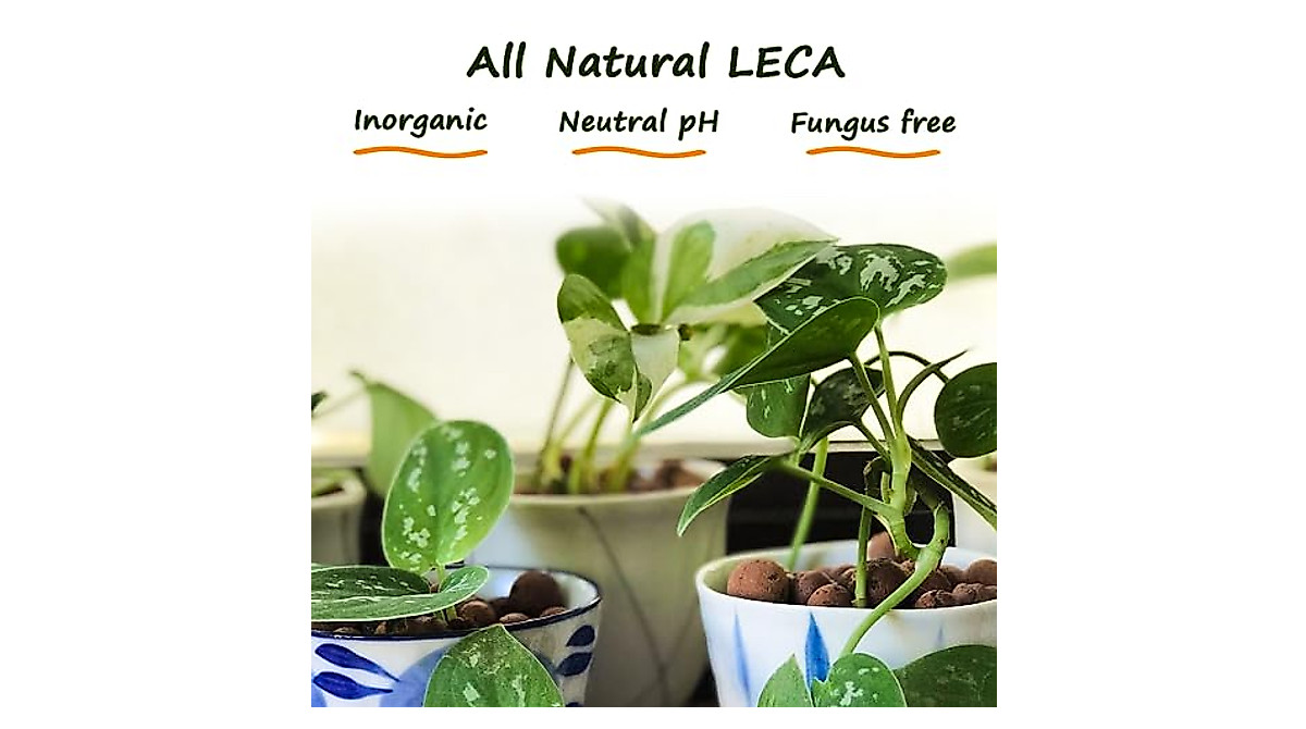 5LB LECA for Plants, 4-16mm Small Expanded Clay Pebbles for Hydroponic ...