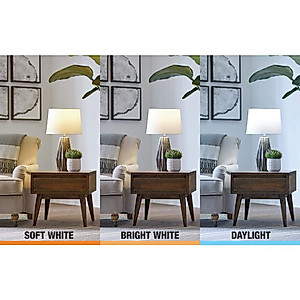 EcoSmart 90-Watt Equivalent PAR38 Non-Dimmable Flood LED Light Bulb Daylight (4-Pack)