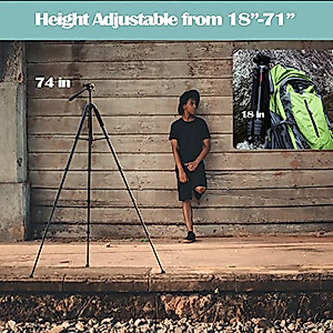 KINGJOY 74" Tripod for Camera Canon Nikon with Travel Bag, Phone Tripod with Wireless Remote and Phone Tablet Holder, Compatible with DSLR Cameras, Cell Phones, Tablets, Projector, Binoculars