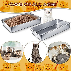 2 Pcs Stainless Steel Litter Box Rust Proof Metal Cat Box Stainless Cat Litter Box Odor Control Small Litter Box and Non Slip Rubber Feet for Cats Kitten Non Stick Smooth Surface (24 x 16 x 4 inch)