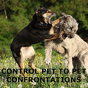 SAFETY-SPORT DOG HORN XL