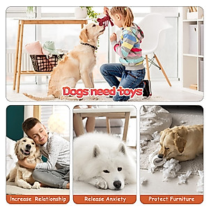 WishLotus 2Pc Dinosaur and Duck Shaped Dog Toys for Aggressive Chewers, Cotton Dog Chew Toys for Small to Large Breeds (Crab+Lobster)