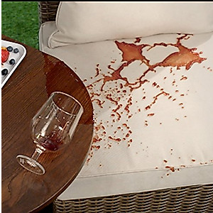 303 Fabric Guard - Restores Water and Stain Repellency To Factory New Levels, Simple and Easy To Use, Manufacturer Recommended, Safe For All Fabrics, 32oz (30606CSR) Packaging May Vary