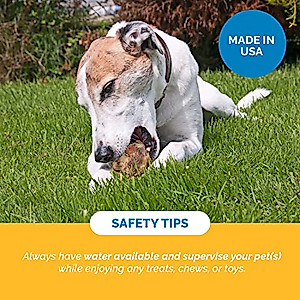 123 Treats Meaty Dog Bones, 100% Natural Knee Cap Beef Bone Dog Treats, No Additives, Made from Premium USA Grass Fed Beef, Tasty Long Lasting Chews for Dogs, Improve Oral Health, Pack of 10