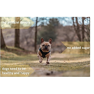 ILC Buy Small Dog Dry Food Bundle | Includes 1 Bag of Dry Adult Small Breed Chicken, Rice & Vegetables Flavor (3.5 LB)| Plus Carrot Dog Toy and a Booklet