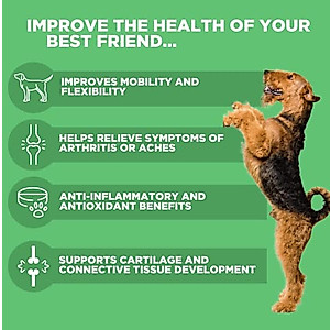 Deley Naturals Hip and Joint Support Supplement for Dogs - Advanced Arthritis Pain Relief - Chondroitin, MSM, Organic Turmeric, & Glucosamine for Dogs - Made in USA - 120 Grain Free Soft Chews