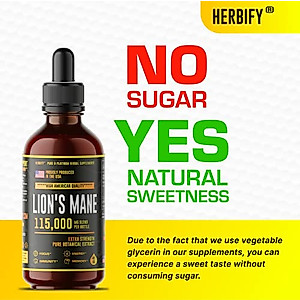 Lions Mane - Lions Mane Mushroom Supplement- Lions Mane Tincture - Natural Immune Support - Lions Mane Tincture for Memory, Focus & Clarity - Daily Mushroom Supplement - Vegan, Organic - 4 Fl oz