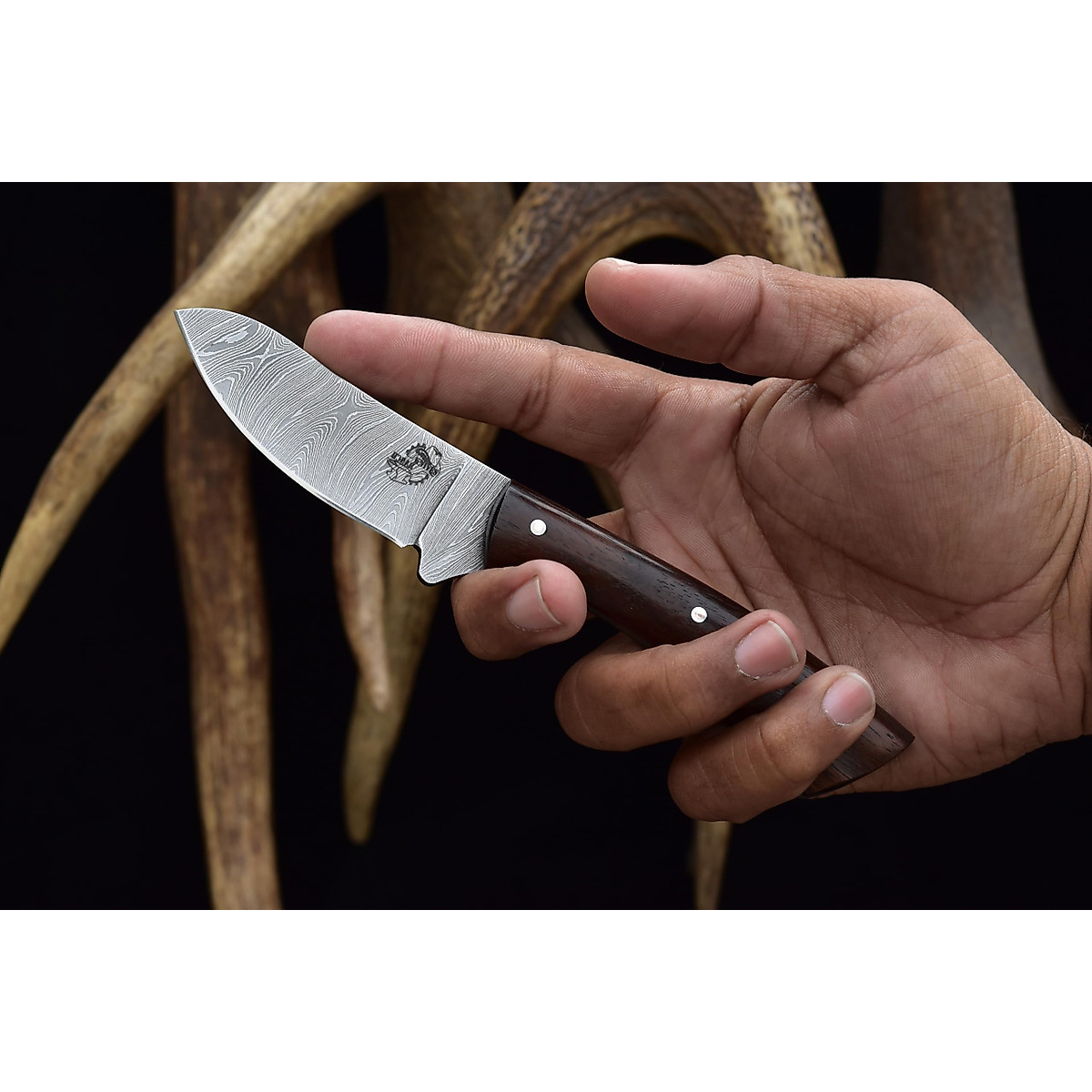 Knives Ranch Damascus Skinning Knife, Fixed Blade Hunting Knife with Rosewood Handle and Heavy-Duty Dual Horizontal/Vertical Sheath (3129-IRW)