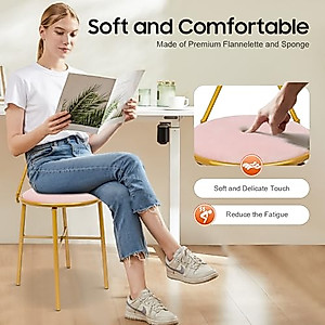 Pink Butterfly Dressing Chair Makeup Chair, Velvet Cushion Deep Gold Metal Frame Chair Lounge Dresser Chair with Bow Backrest and Velvet Cushion Used for Bedroom Home Garden Living Room(Light Pink)