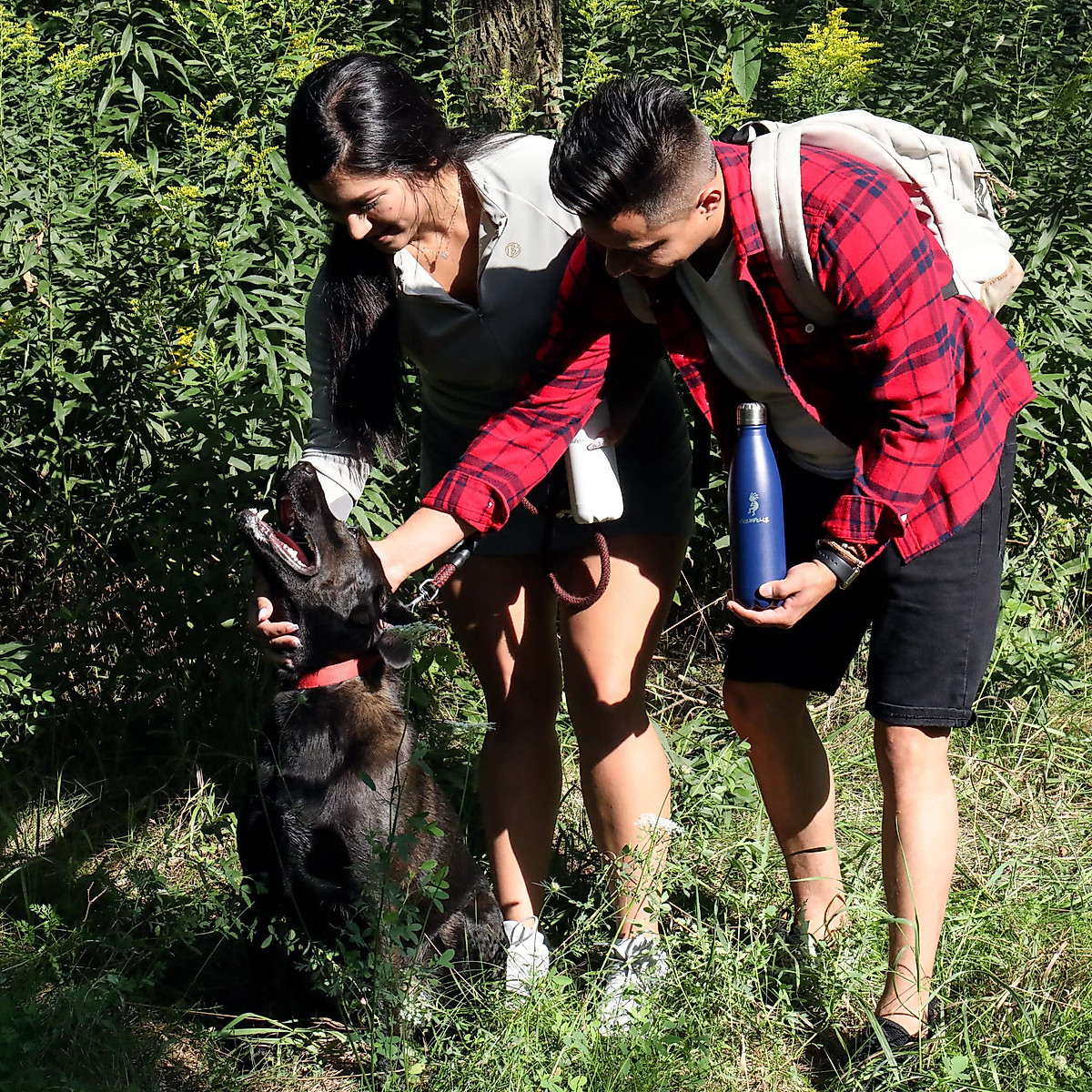 Aquapelli Vacuum Insulated Sport Bottle, 16 Ounces, Blueprint Blue