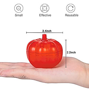 Stingmon 4 Pack Gnat Traps Killer Indoor, Reusable Fruit Fly Killer for Indoors, Fly Catcher for Bugs/Mosquitoes/Gnats