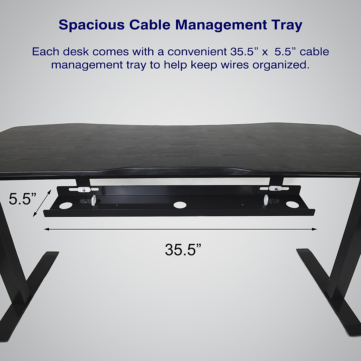 ApexDesk Elite Pro Series 60" x 27" Electric Height Adjustable Stand up Desk, Sit Stand Home Office Desk, Computer Desk - Curved Bamboo