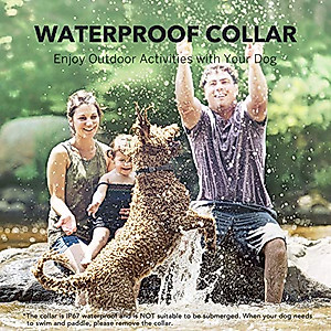 DOG CARE Dog Training Collar with Remote - Rechargeable Training Collar with Beep, Vibration and Shock Training Modes, Dog Collar for Large Medium Small Dogs, Rainproof E-Collar for Dogs