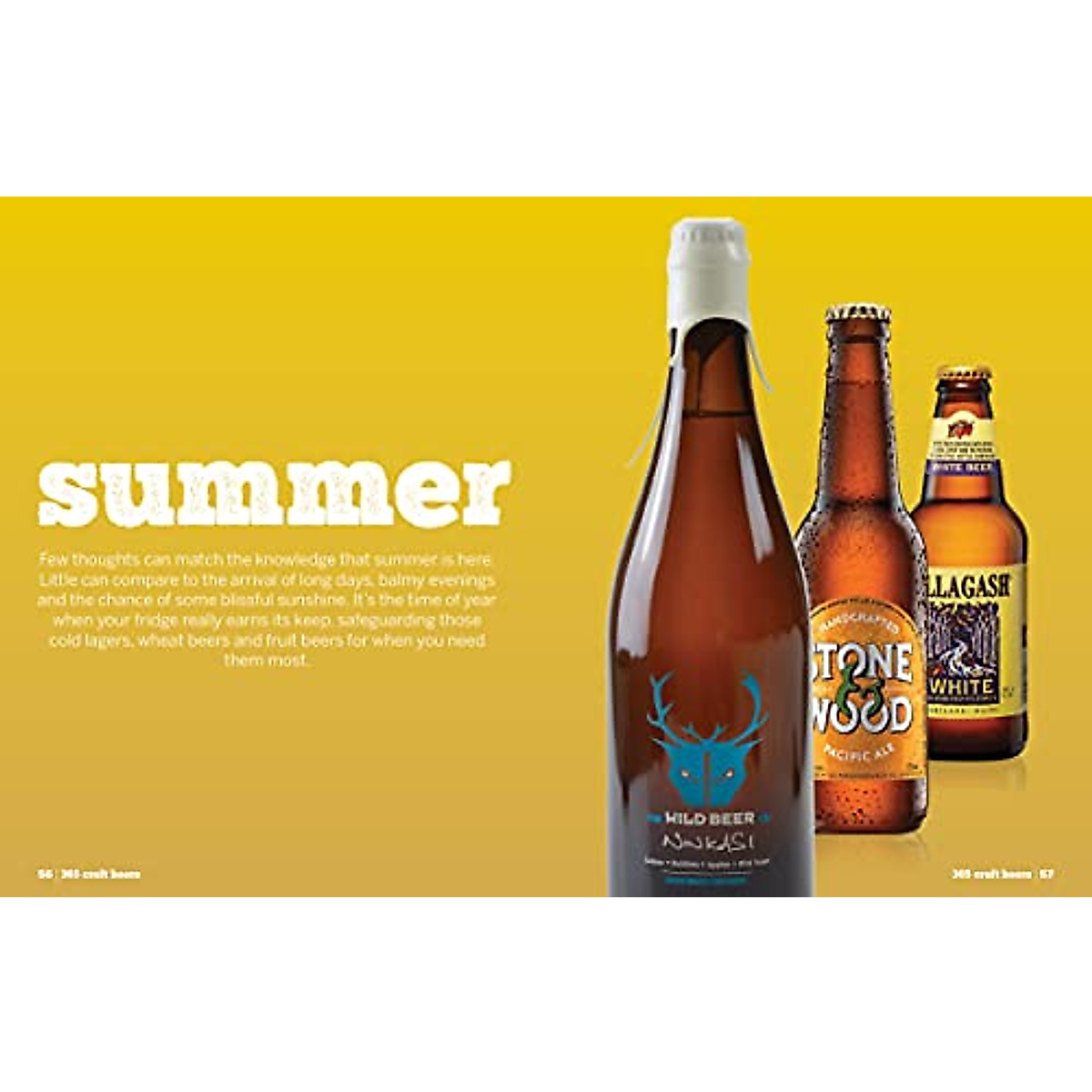 Craft Beer: The 365 Best Beers