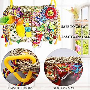 Bird Parakeet Cockatiel Toys, PBIEHSR Bird Foraging Toys Seagrass Woven Climbing Hanging Mat Bird Chewing Toys Perch with Shredder for Lovebird Finch Budgies Conures
