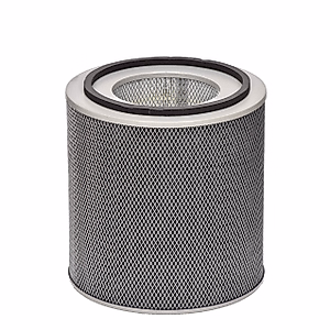 Austin Air FR400B Healthmate Standard Replacement Filter, White