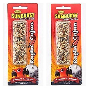 Higgins 2 Pack RAGIN' CAJUN SUNBURST GOURMET BIRD TREAT STICKS For Conures & Parrots