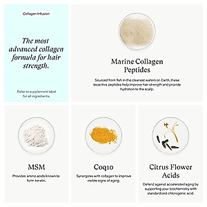 Nutrafol Men's Hair Growth Strengthening Duo | Collagen Peptide Powder & Clinically Effective Hair Supplement for Thinker, Stronger Hair | 12 OZ | 1 Month Supply