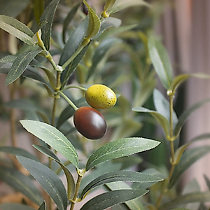 Bellacat Faux Olive Tree 6ft，Olive Trees Artificial Indoor with Natural Wood Trunk and Realistic Leaves and Fruits. 6 Feet(72in) Fake Olive Tree for Home House Office Décor.