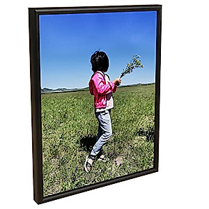 Medog 8.5x11 Picture Frames Made of Aluminum and Safely Plastic Cover for 8.5x11 Black Picture Frame 8.5x11 Industries Studio Gallery Frame 8.5 x 11 in Wall Mounting Certificates Picture Frame Black