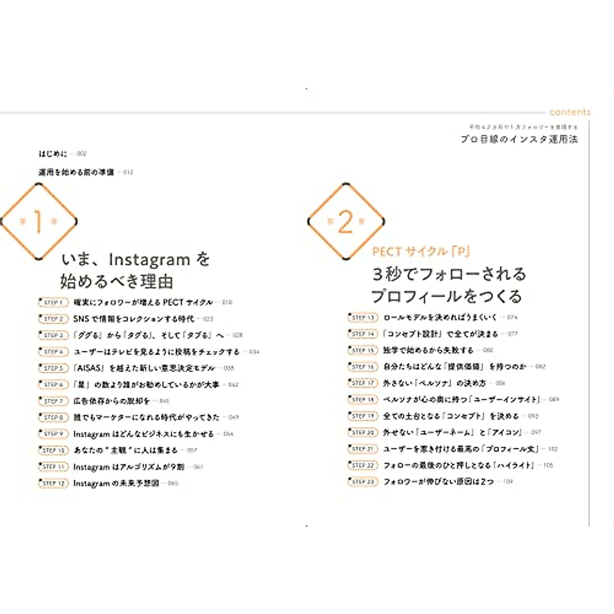 平均4.2カ月で1万フォロワーを実現する　プロ目線のインスタ運用法（Instagramマーケティング)