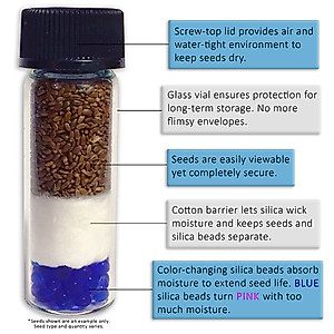 Frozen Seed Capsules - Rose Hip (Rosa canina) - Grow Now or Store for Future Planting - Capsule of 10 Seeds