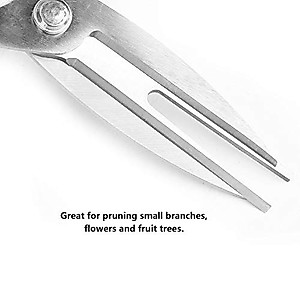 Kadimendium Tree Trimmers, Garden Secateurs Bonsai Tools for Outdoor Use for Branches for Fruit Yield