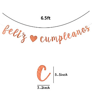 Rose Gold Glitter Feliz Cumpleanos Banner, Bunting Garlands for Celebrating Fiesta Theme/Spanish Birthday/Anniversary Party Decoration (Pre-Strung)