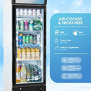 COTLIN Glass Door Merchandiser Refrigerator with LED Lighting, 12.5 cu.ft Commercial Beverage Cooler, Dual-Layer Glass Extra Adjustable Shelves and Drink Organizers, ETL NSF Approved