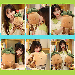 SQEQE Plant Plush Toy, Plant Stuffed Animals Succulents Plush Pillow Decoration, Soft Plant Plush Pillow, Succulents Plant Throw Pillow Gift for Kids Boys Girls (Smile 1, 9.5'')