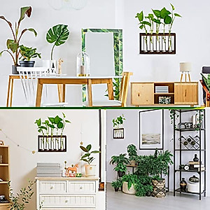 XXXFLOWER Wooden Stand with 5 Test Tube Propagation Station Wall Hanging Glass Planter Plant Terrarium Desktop Hydroponics, Water Plants for Home Office Decoration, Plant Lover Gifts
