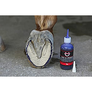 SAV-A-HOOF Gel II by SBS Equine, Hoof Treatment, Long - Lasting Time Release Formula, No Messy Waste or Run-Off (4 oz)