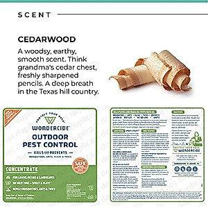 Wondercide - EcoTreat Outdoor Pest Control Spray Concentrate with Natural Essential Oils - Mosquito, Ant, Roach, and Insect Killer, Treatment, and Repellent - Safe for Pets, Plants, Kids - 16 oz