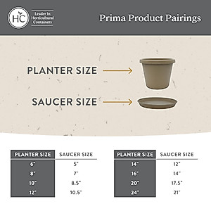 The HC Companies 12 Inch Round Prima Planter - Plastic Plant Pot with Rolled Rim for Indoor Outdoor Plants Flowers Herbs, Honey