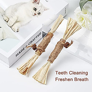 DuLaSeed Cat Toys, 2 Pack Natural Silvervine Sticks Chew Toys for Kittens Teeth Cleaning,Catnip Toys for Indoor Cats Interactive, Edible Kitty Toys for Cats Dental Care