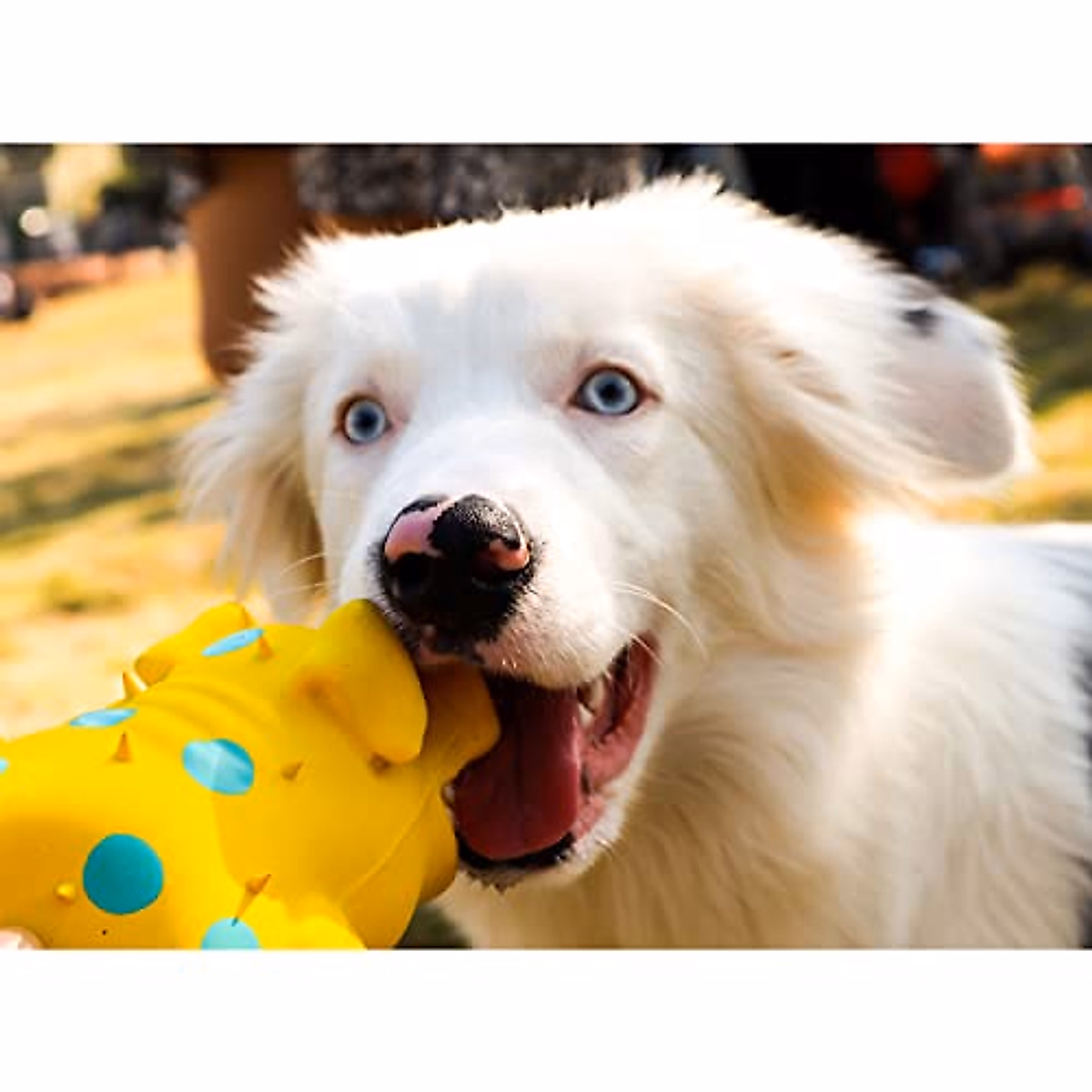 VIMIGOO Latex Grunting Pig Dog Toy, 8'', Environmentally Friendly, Healthy Chew Toy for Small, Medium, Large Dogs