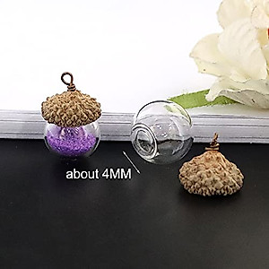 6PCS DIY Glass Vial With Acorn Caps Wishing Bottles Pendants Jewelry Accessory (P-20MM Ball-Acron Cap)