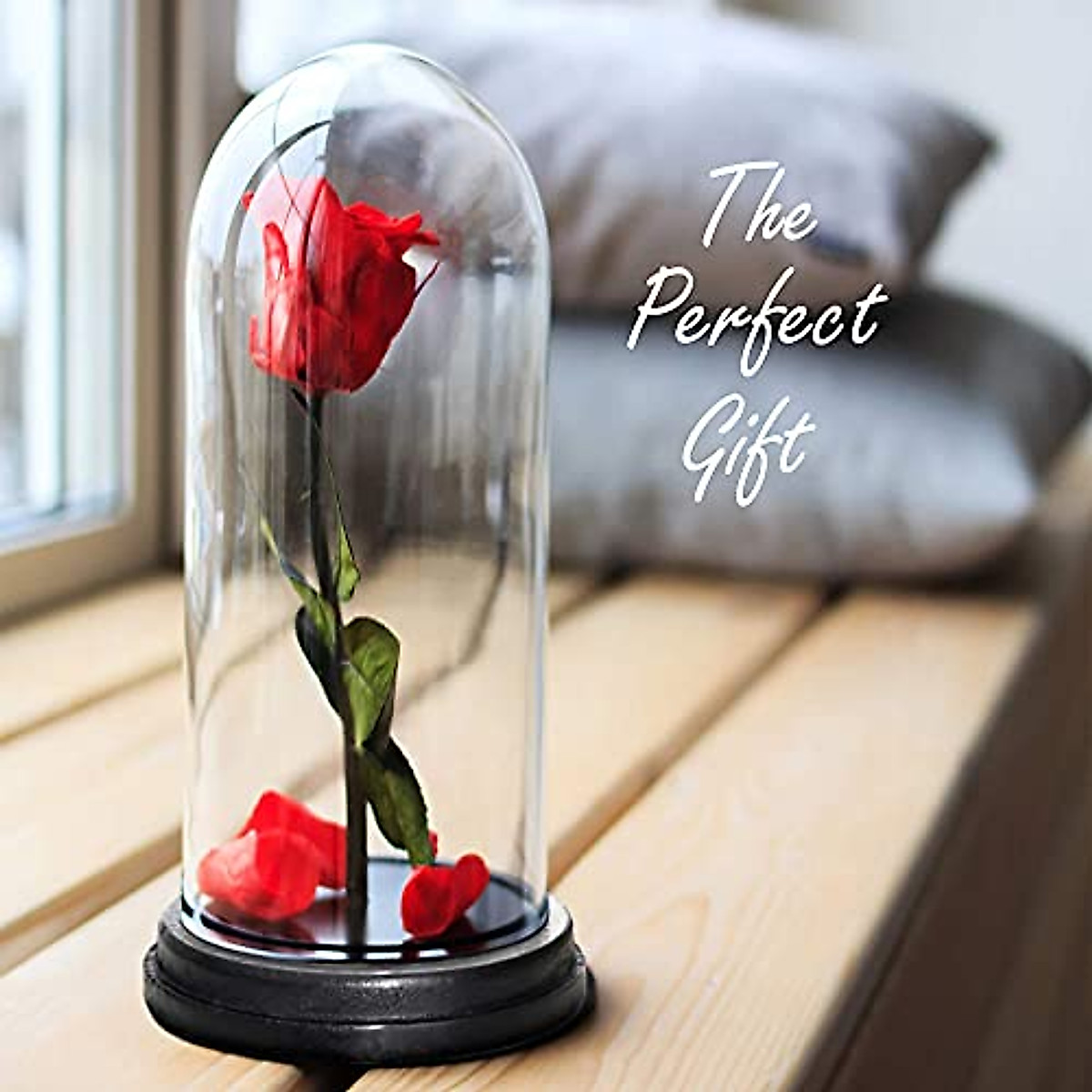 CYS EXCEL Glass Dome Cloche with Black Wood Base (H:14.7" D:7") | Multiple Sizes Decorative Showcase Display for Antique Collectibles | Bell Jar Terrarium & Dessert Cover