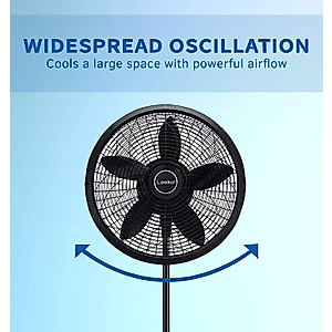 Lasko 18 in. Adjustable Elegance and Performance Pedestal Fan, Black 18"/Black