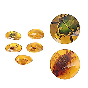 FOMIYES 5pcs Amber Fossil Artificial Amber Samples Stones Crystal Specimens Collection Pendant (Random Pattern)