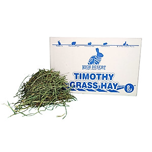 High Desert 2nd Cutting Timothy Grass Hay for Guinea Pigs, Rabbits, and More Small Animal Pets
